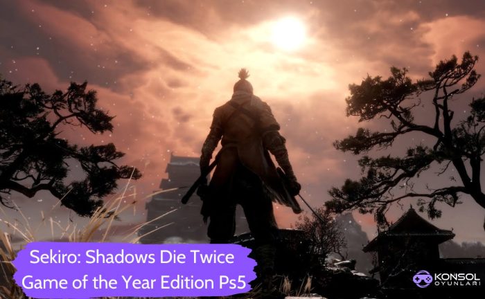 Sekiro: Shadows Die Twice - Game of the Year Edition Ps5 ...